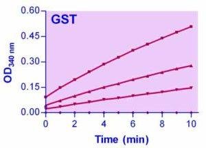 QuantiChrom™ Glutathione S-transferase Assay Kit | BioAssay