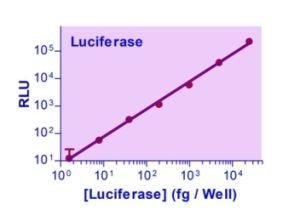 SuperLight™ Luciferase Reporter Gene Assay Kit | BioAssay Systems